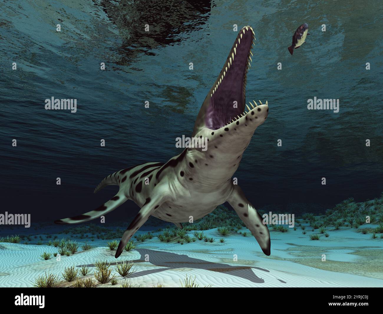Pliosaur hi-res stock photography and images - Alamy