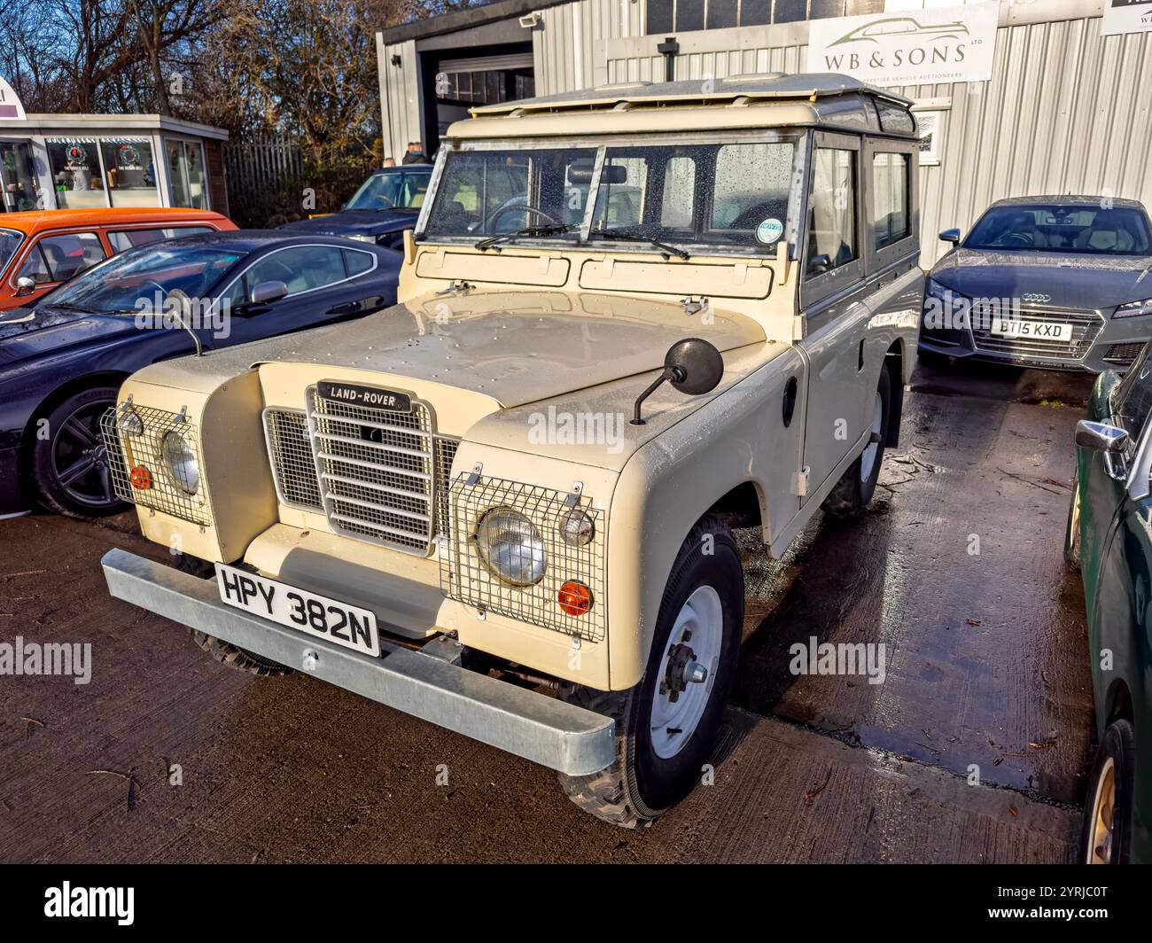 Classic cream coloured Land Rover Series III parked among modern cars ...