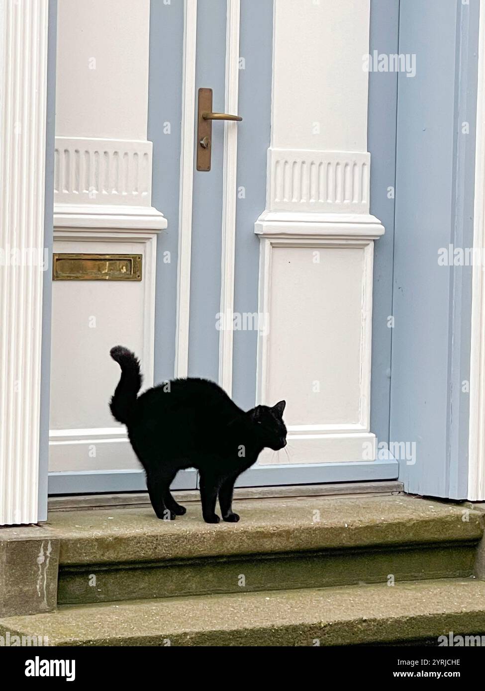 Black Cat on Doorstep of Elegant Pastel-Colored Entrance Stock Photo ...