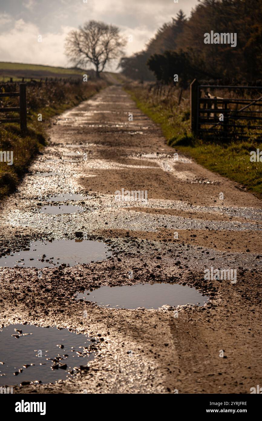 a muddy, wet track at Osmotherly, North Yorkshire, England, UK Stock ...