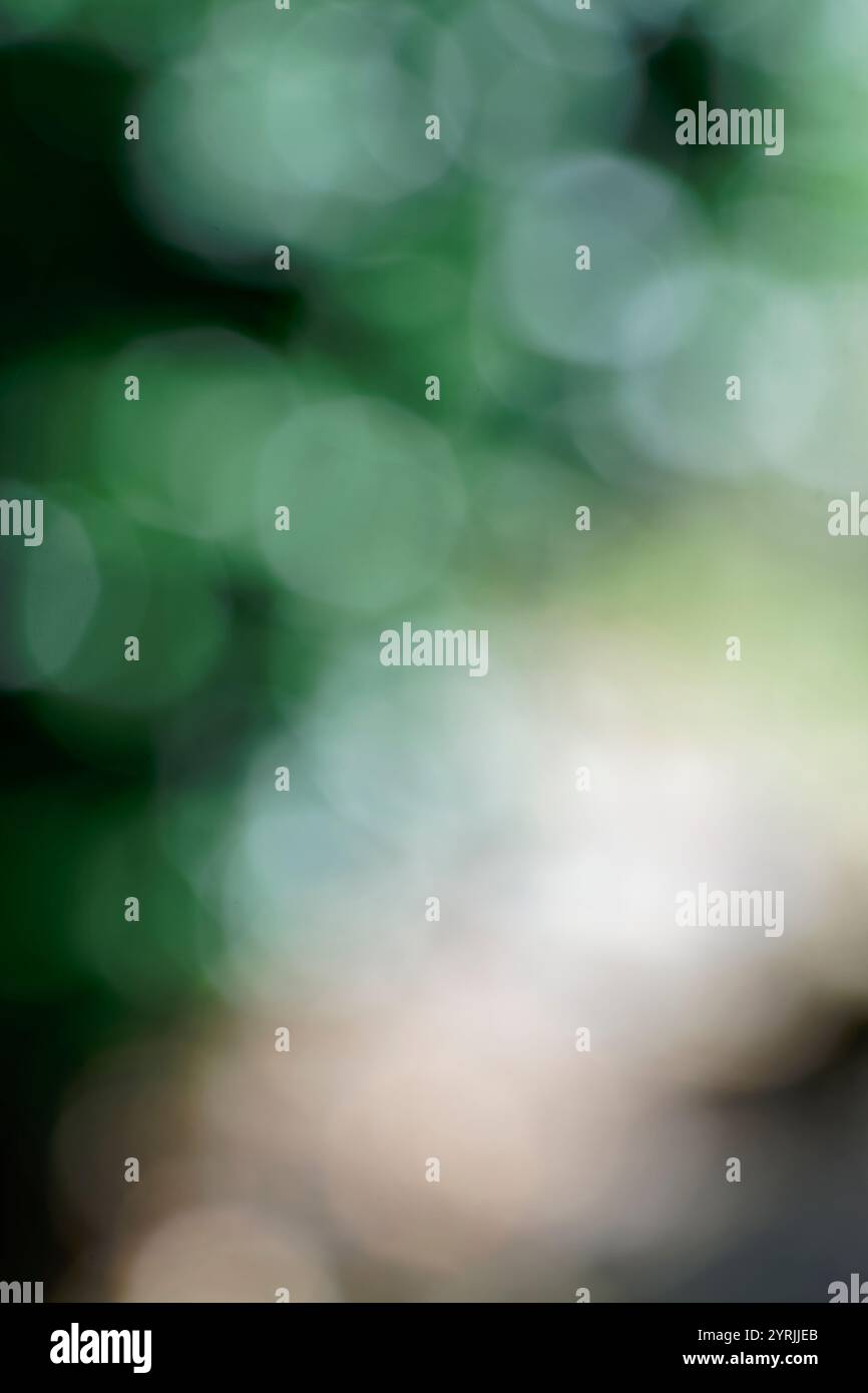 Abstract green forest design hi-res stock photography and images - Alamy