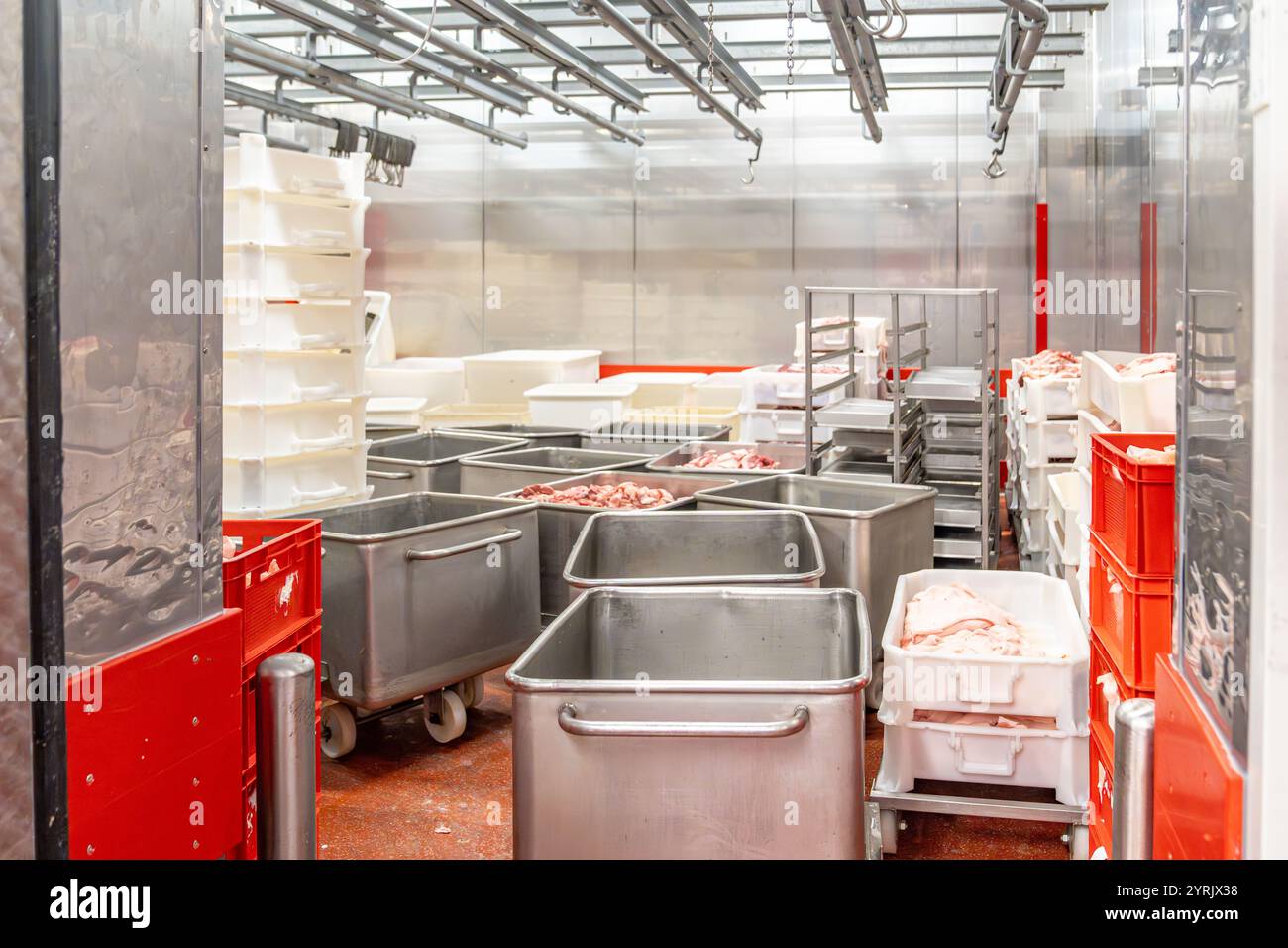 Meat processing plant storing pork cuts in metal containers Stock Photo ...