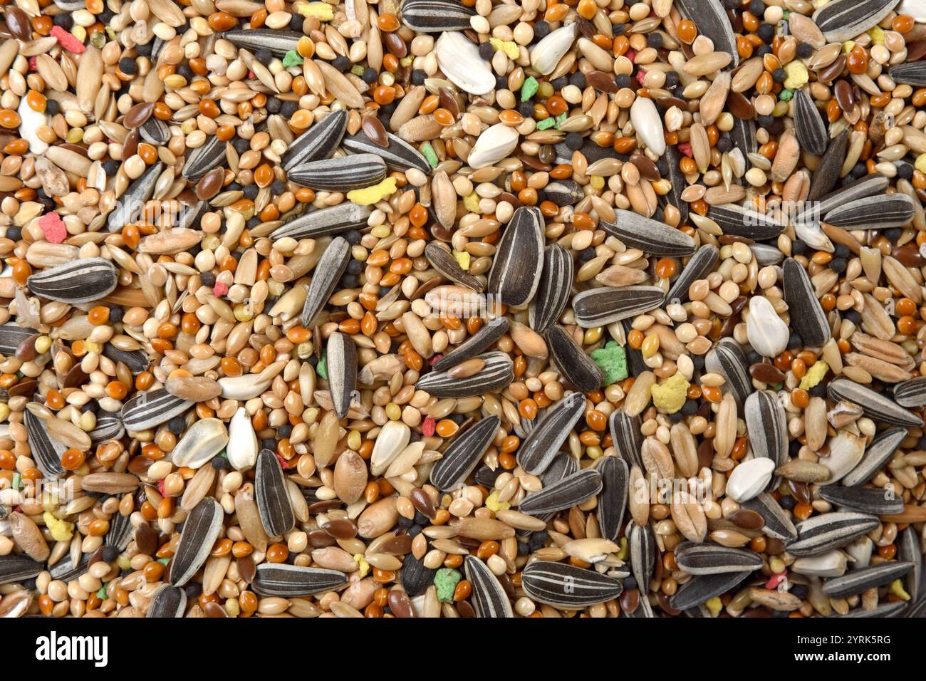 texture of food mix of parakeet; lovebird; parrot… Stock Photo - Alamy