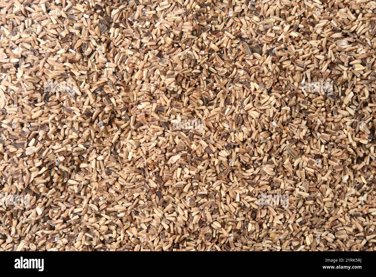 a texture of endive seeds Stock Photo - Alamy