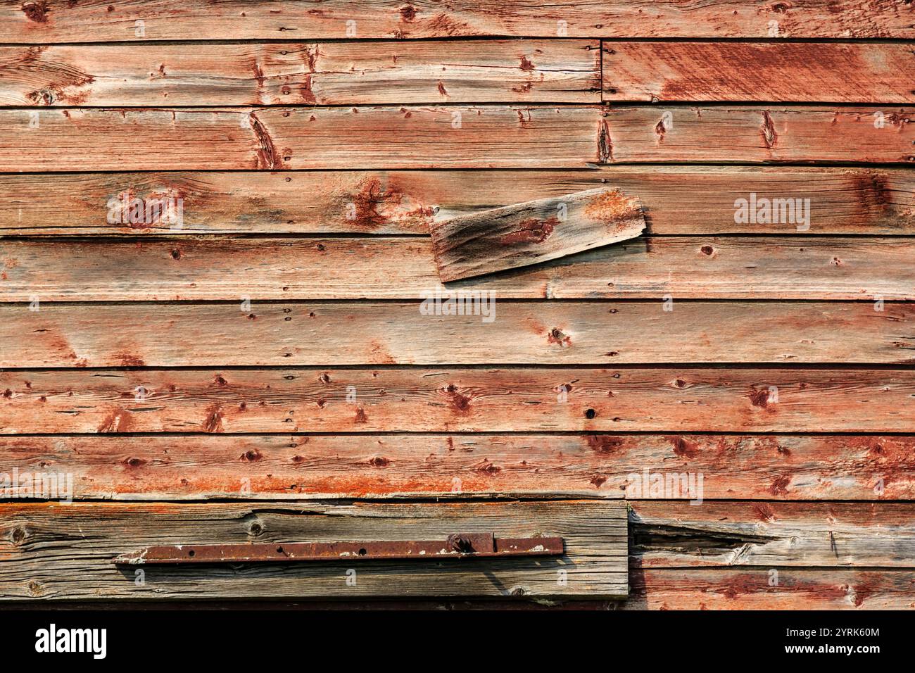 A wooden wall with a lot of scratches and dents. The wood is old and ...