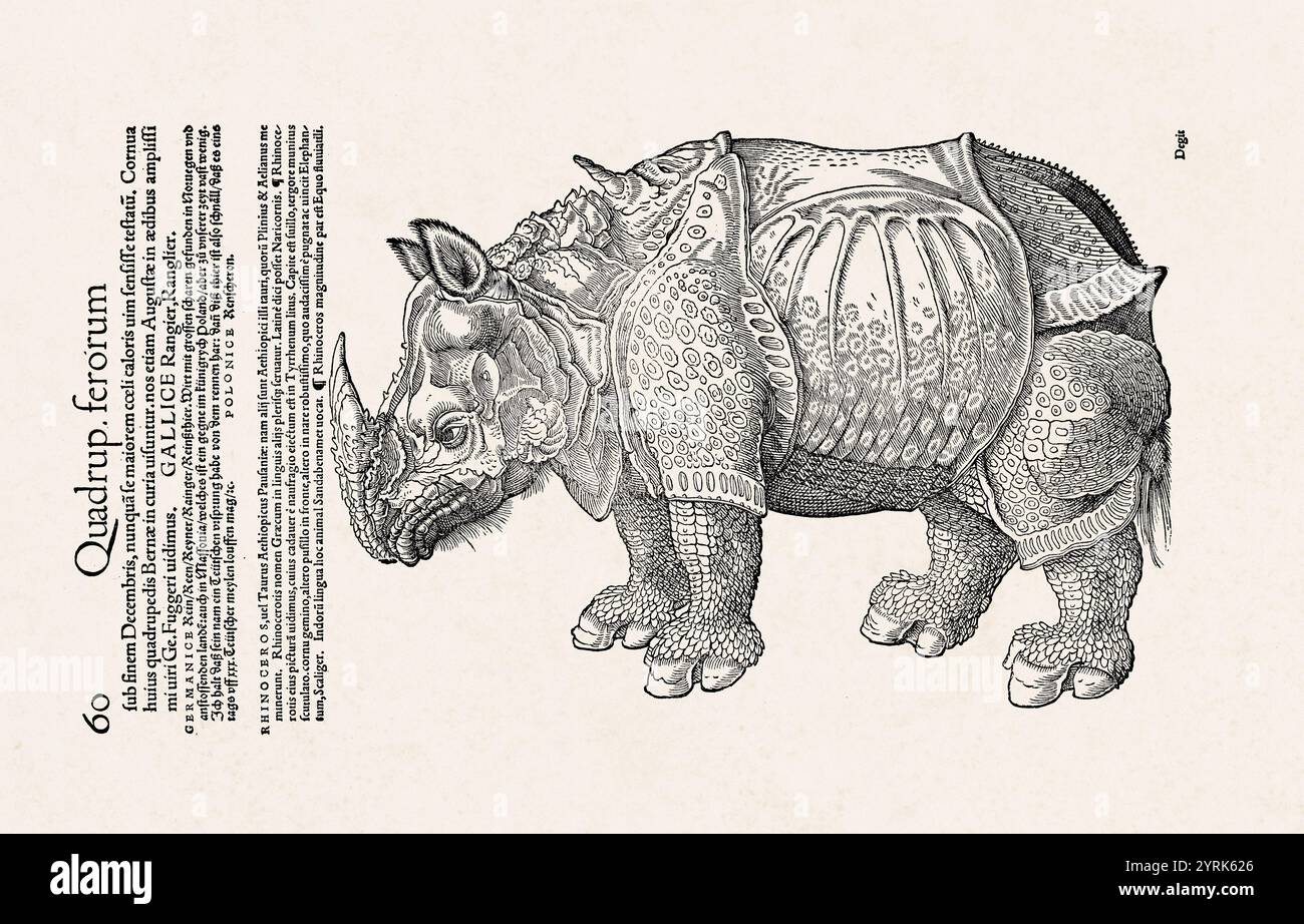 Antique animal illustration from Icones Animalium by Conrad Gessner ...