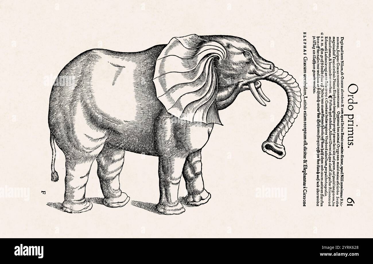 Antique animal illustration from Icones Animalium by Conrad Gessner ...