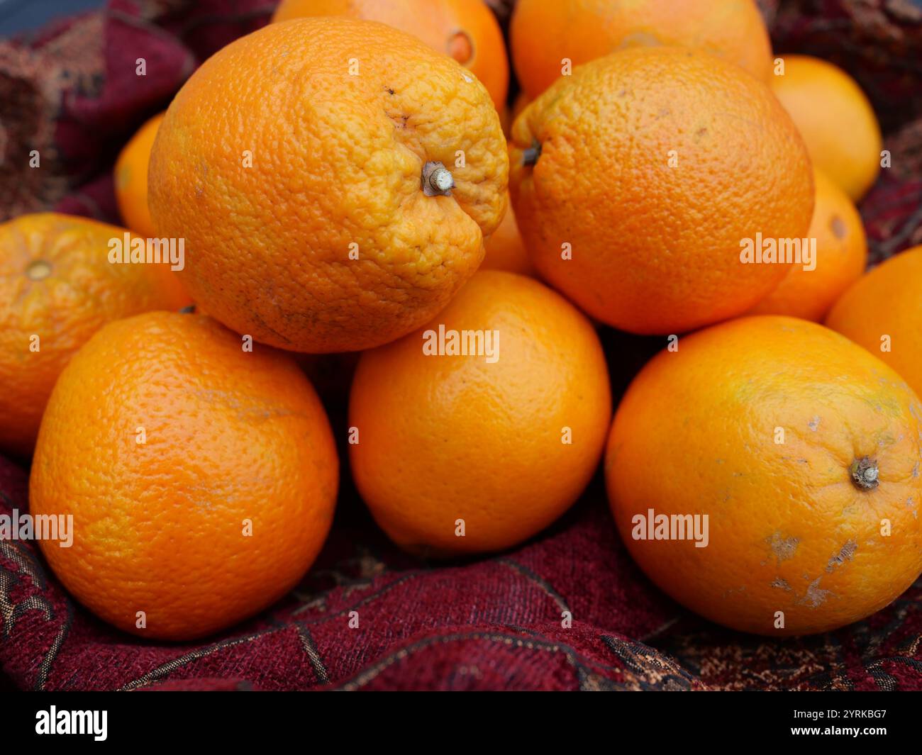Oranges, fresh and juicy, show orange textures on the peel. It is an ...