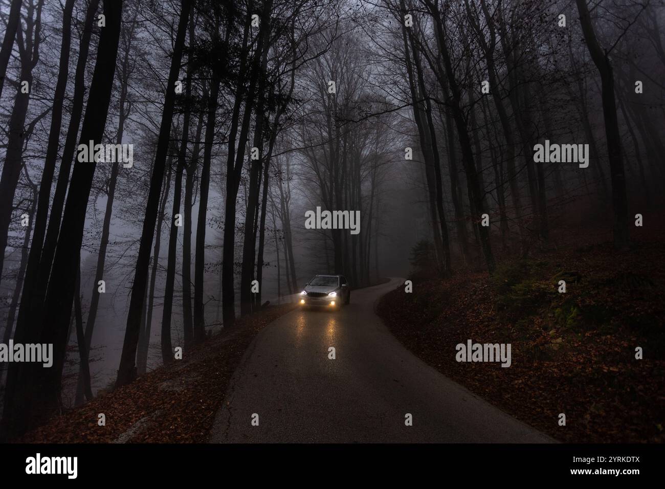 Car headlights on foggy forest hi-res stock photography and images - Alamy