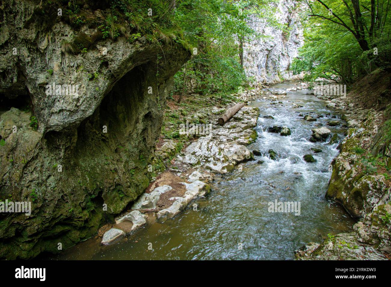 Romanian landscape. Beautiful cascade, Bigar cascade. Wild nature ...