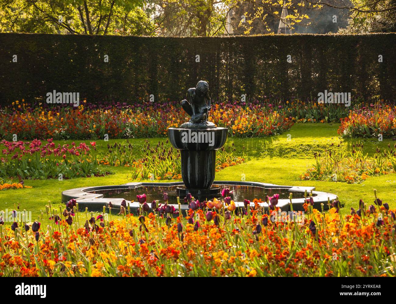 Fountain in evening golden light. Park sculpture. Boy and frog in the ...