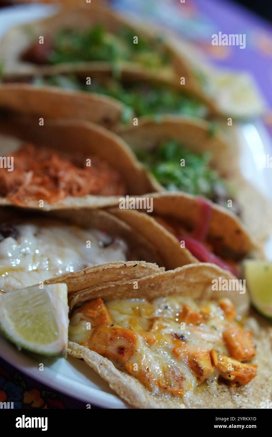 typical mexican food. tray with assorted tacos garnished with lime and ...
