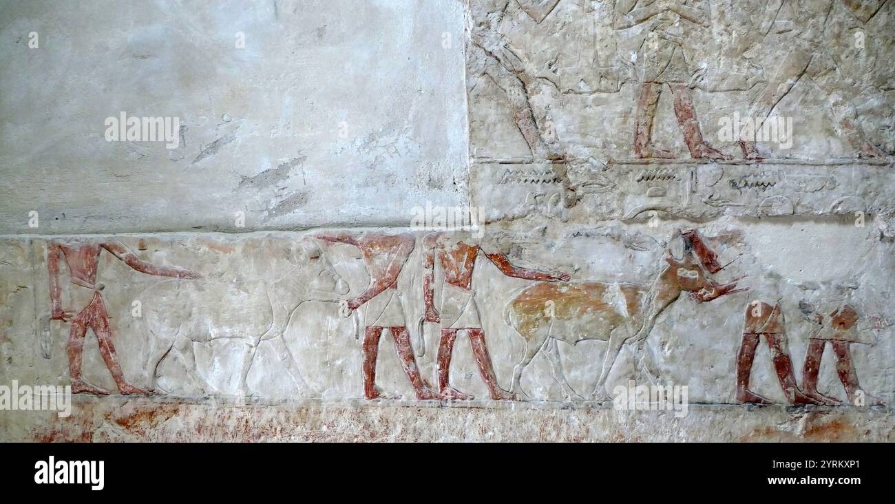 Painted Egyptian wall relief, from the Tomb of Princess Idut, King Unas ...