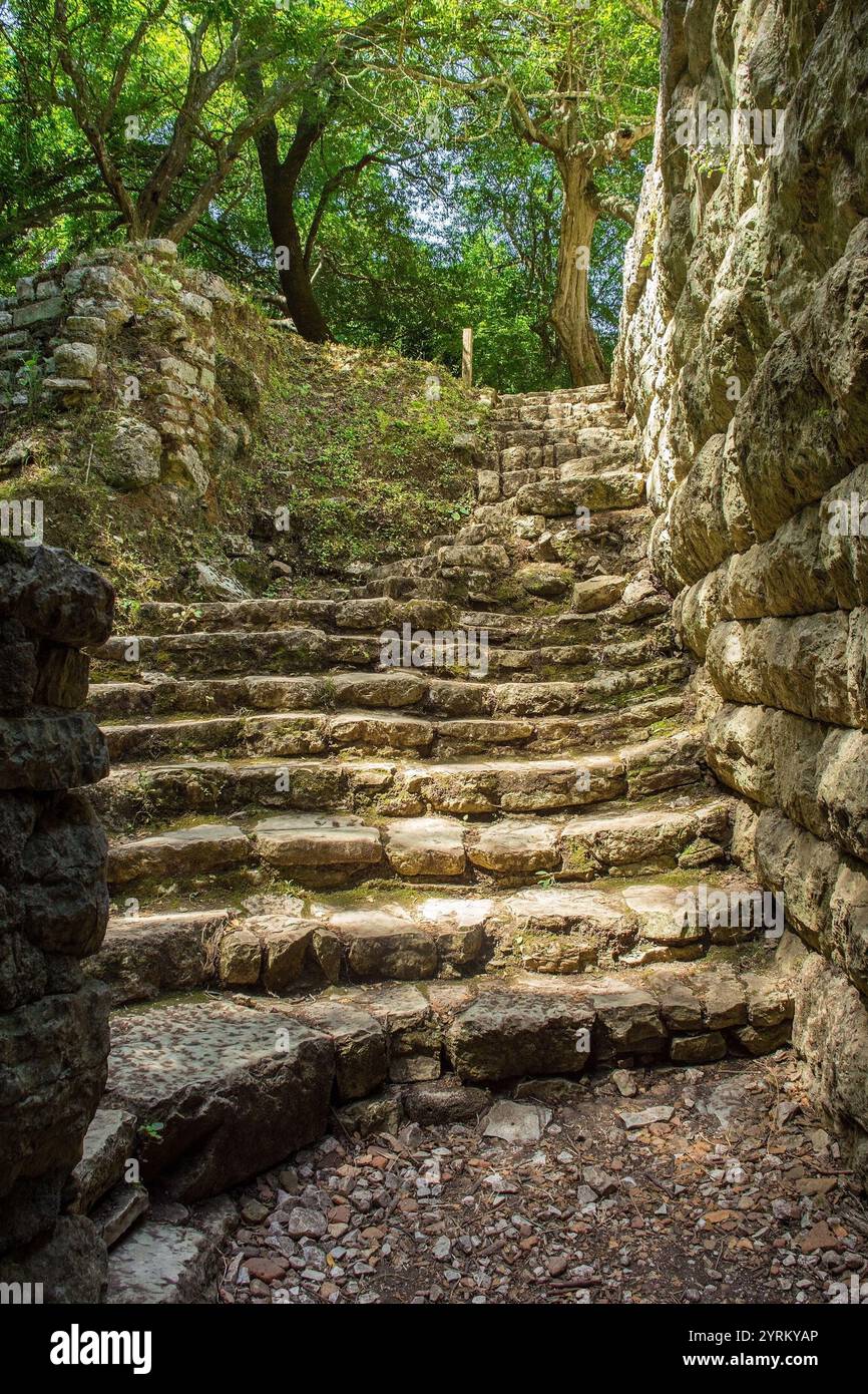 Junia rufinia hi-res stock photography and images - Alamy