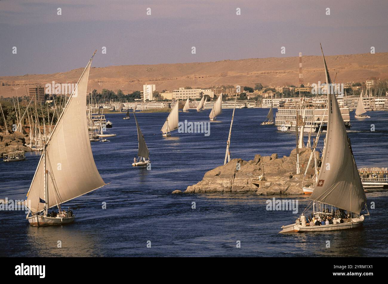 Feluccas on the Nile. Aswan. Egypt Stock Photo - Alamy