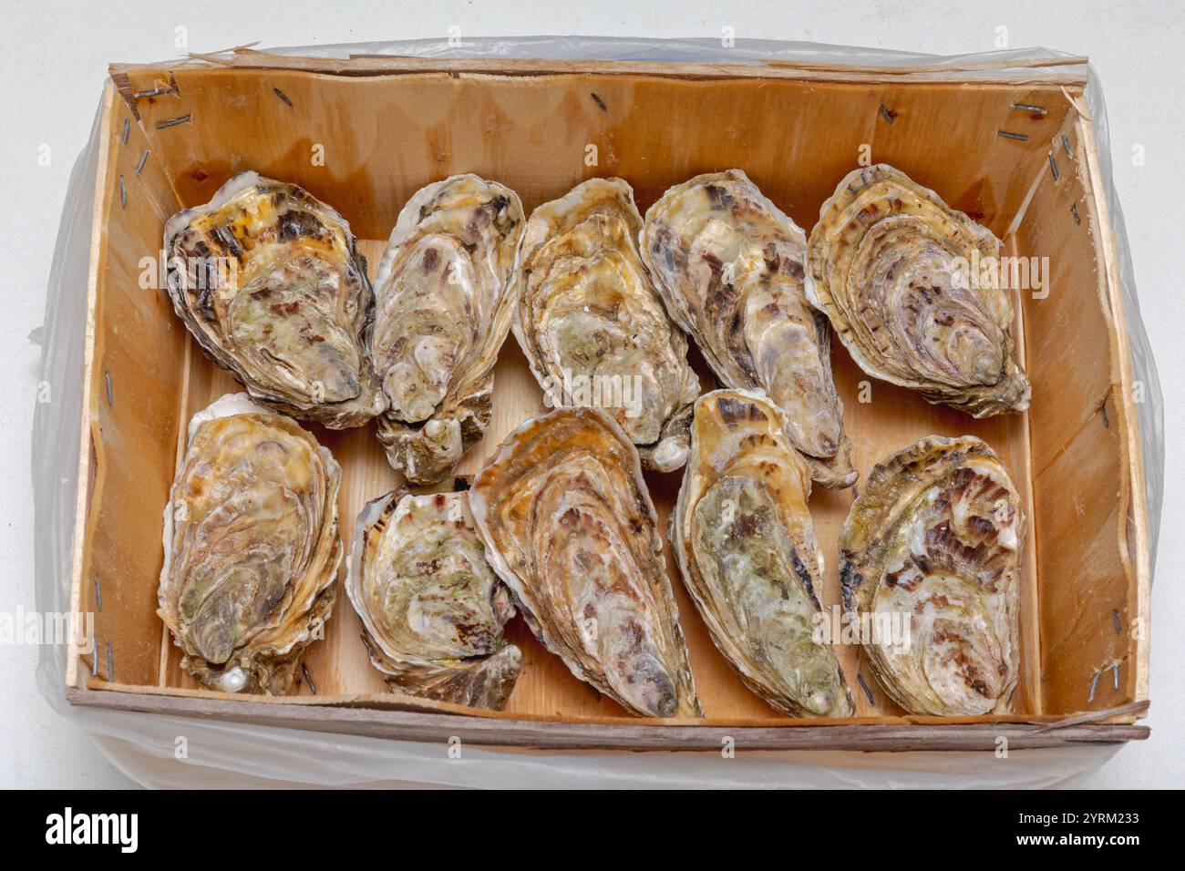 Fresh Oysters Shells in Wooden Crate Box Seafood Stock Photo - Alamy