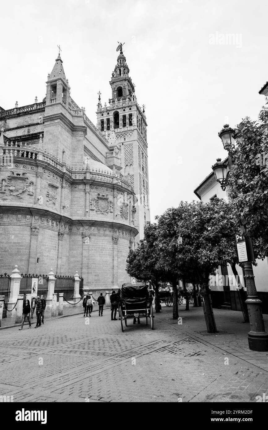 Great mosque of seville Black and White Stock Photos & Images - Alamy
