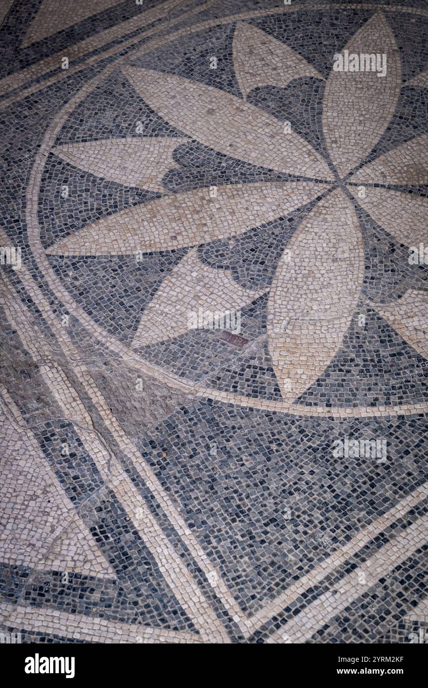 Pompeii ruins mosaic floor hi-res stock photography and images - Alamy