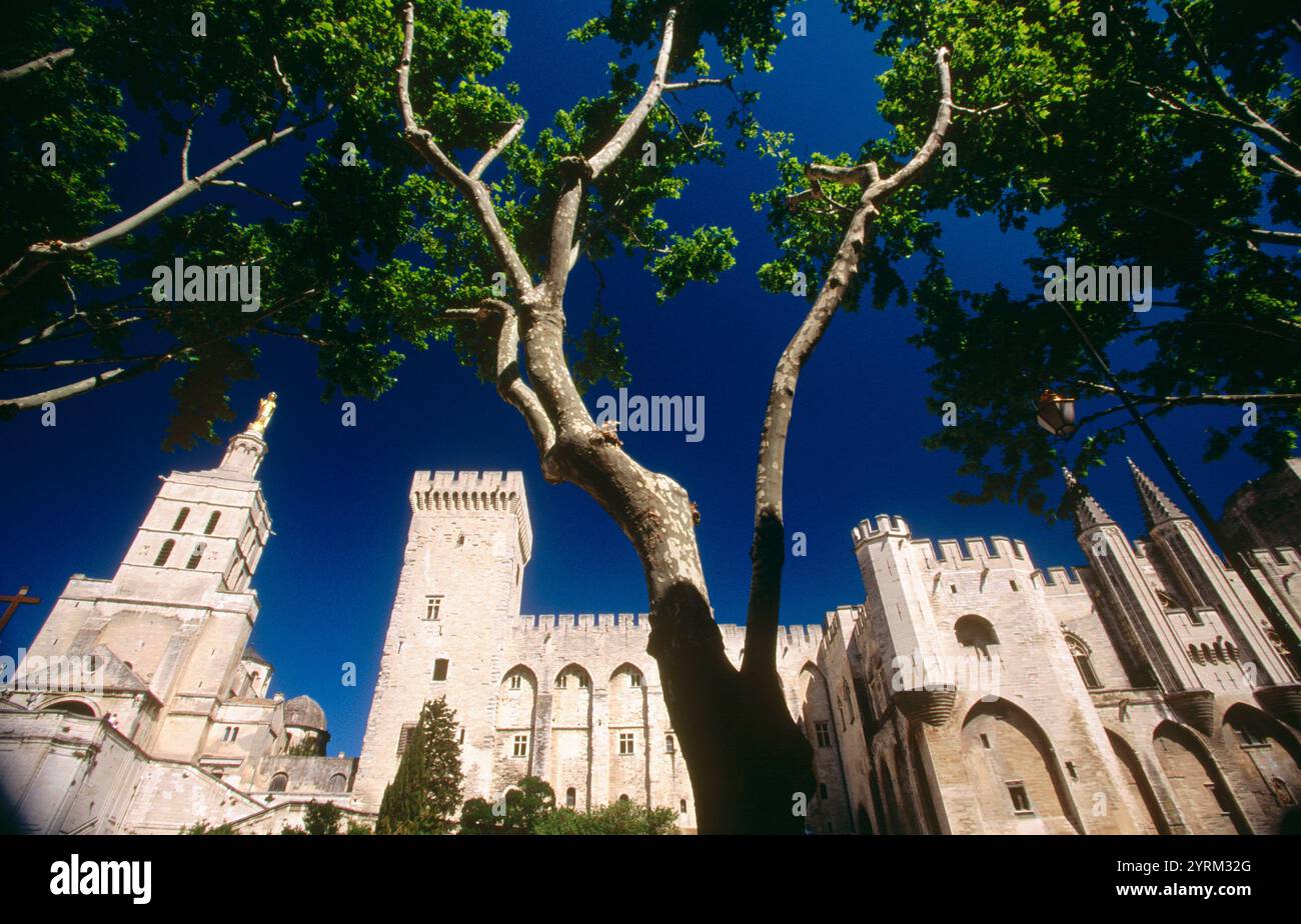 Papal colours hi-res stock photography and images - Alamy