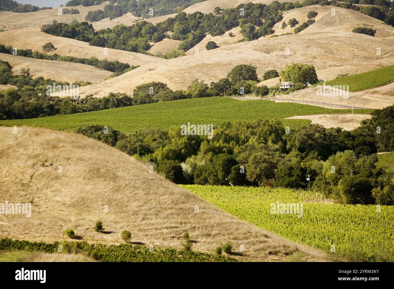 Artesa Winery in Napa Valley. California, USA Stock Photo - Alamy
