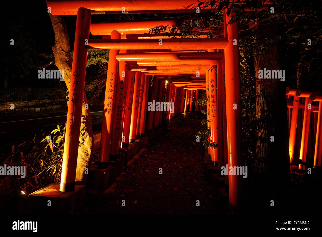 A tranquil illuminated pathway of red torii gates at night, showcasing ...