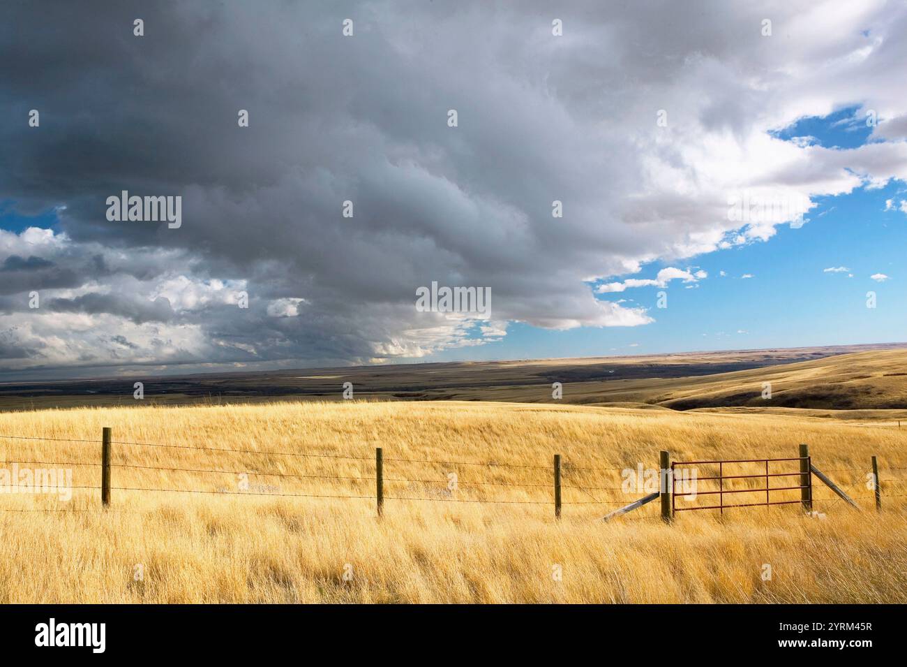 Fence and field, Head Smashed-In Buffalo Jump Centre. Fort Macleod ...