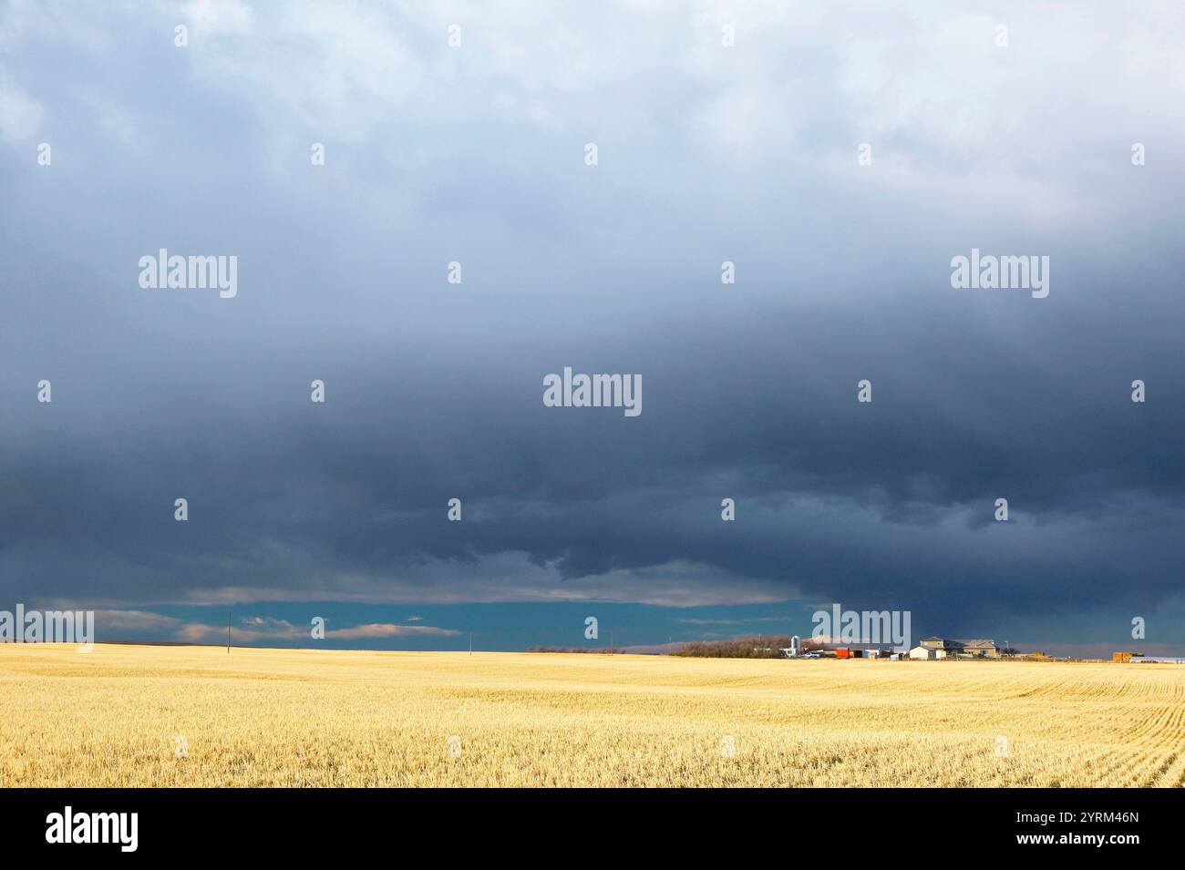 Stand off alberta hi-res stock photography and images - Alamy