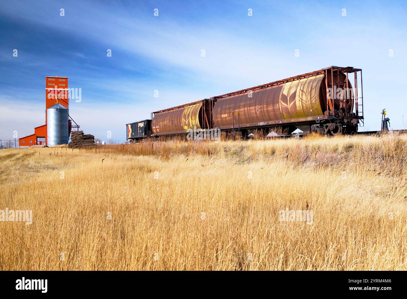 Train and grain elevator, feature of wheat growing prairie landscape ...