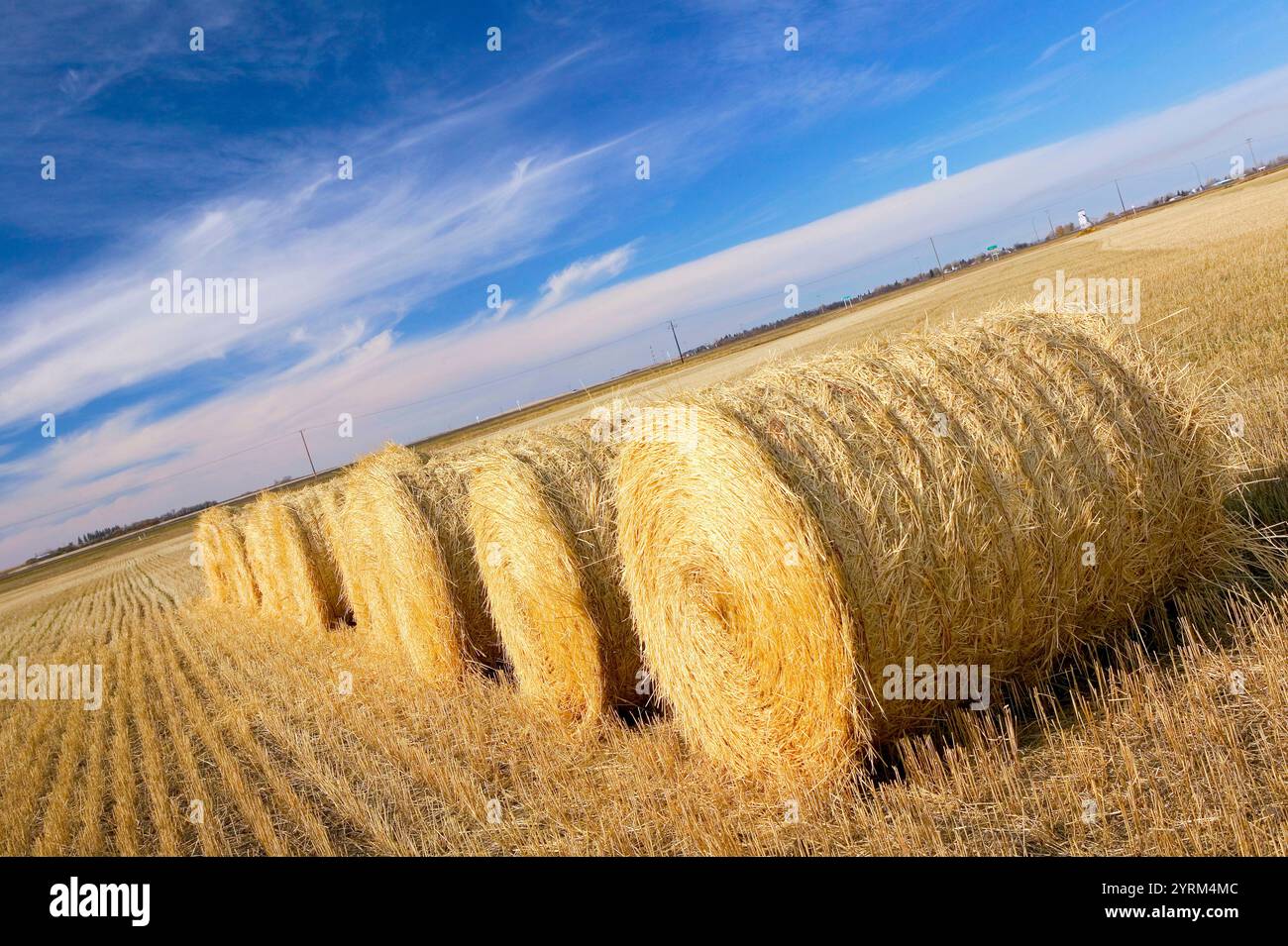 Craik saskatchewan hi-res stock photography and images - Alamy