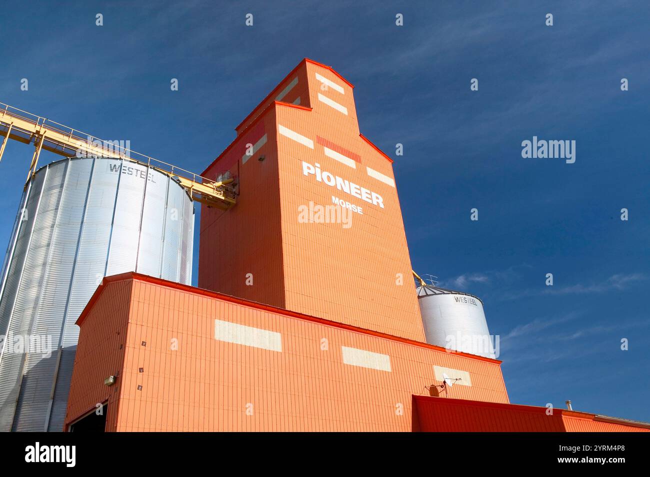 Grain elevator, feature of wheat growing prairie landscape. Morse ...