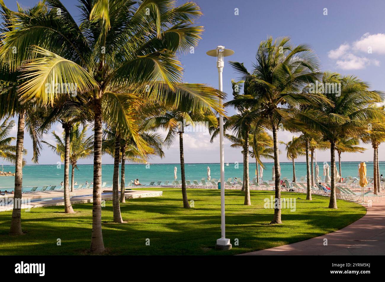 Bahamas, Grand Bahama Island, Lucaya: Our Lucaya Beach Resort, Westin ...