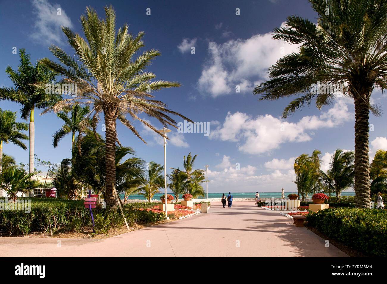 Bahamas, Grand Bahama Island, Lucaya: Our Lucaya Beach Resort, Beach ...