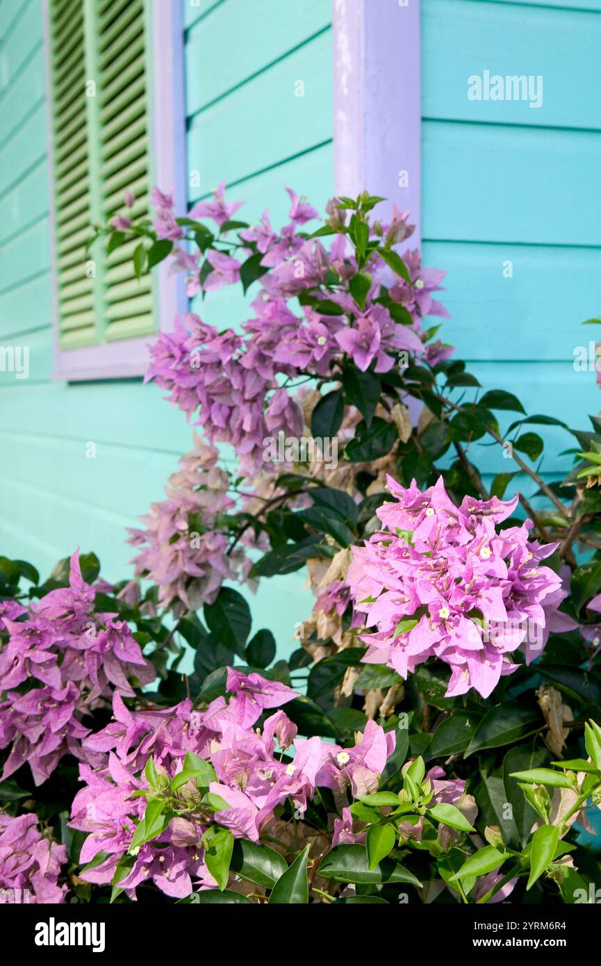 Barbados, West Coast, Holetown: The Chattel Village / Tourist Shops ...