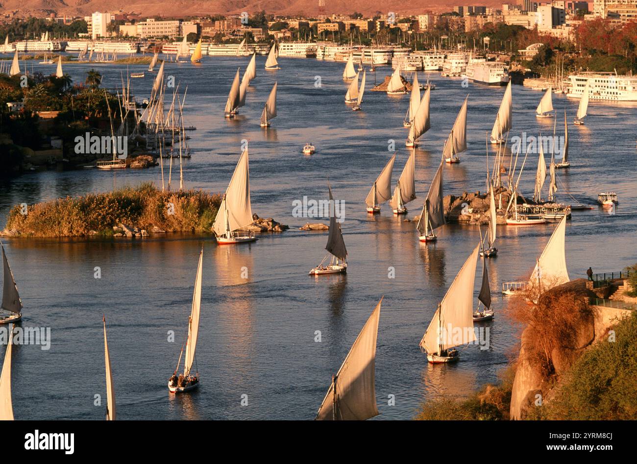 Feluccas on River Nile. Aswan. Egypt Stock Photo - Alamy