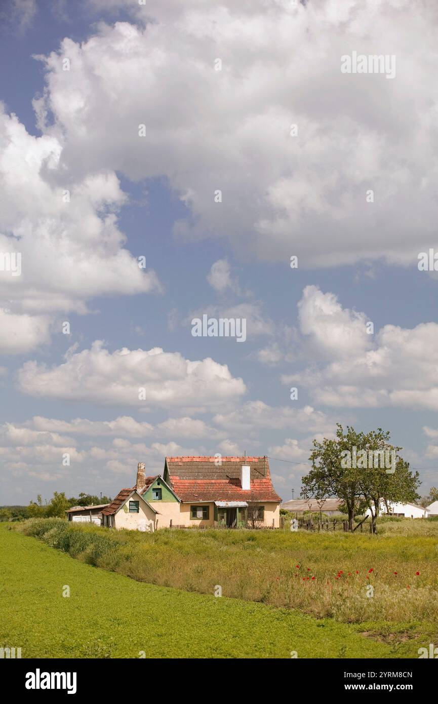 The great journey 2004 hi-res stock photography and images - Alamy