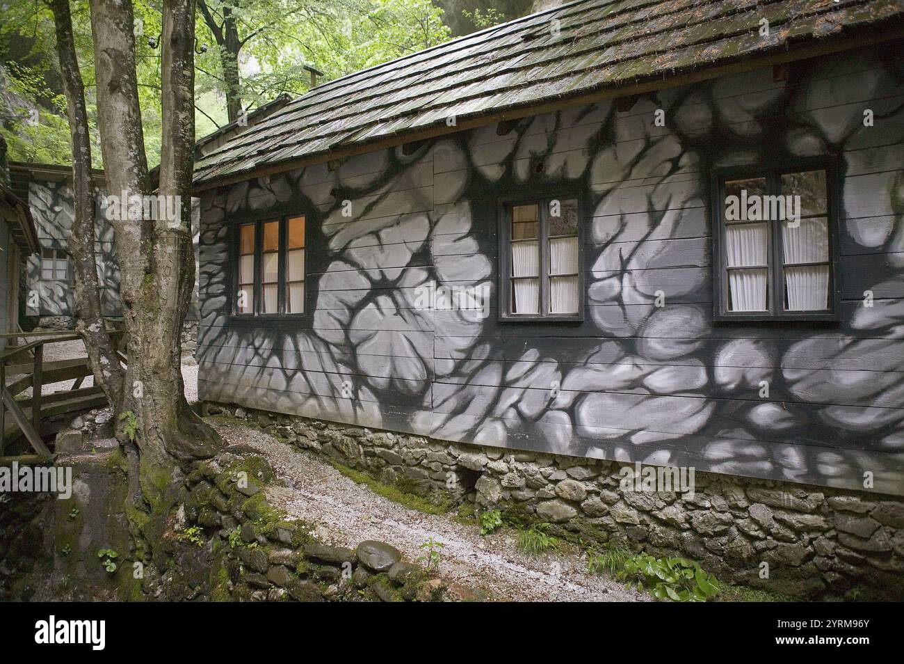 Partisan 1943 hi-res stock photography and images - Alamy