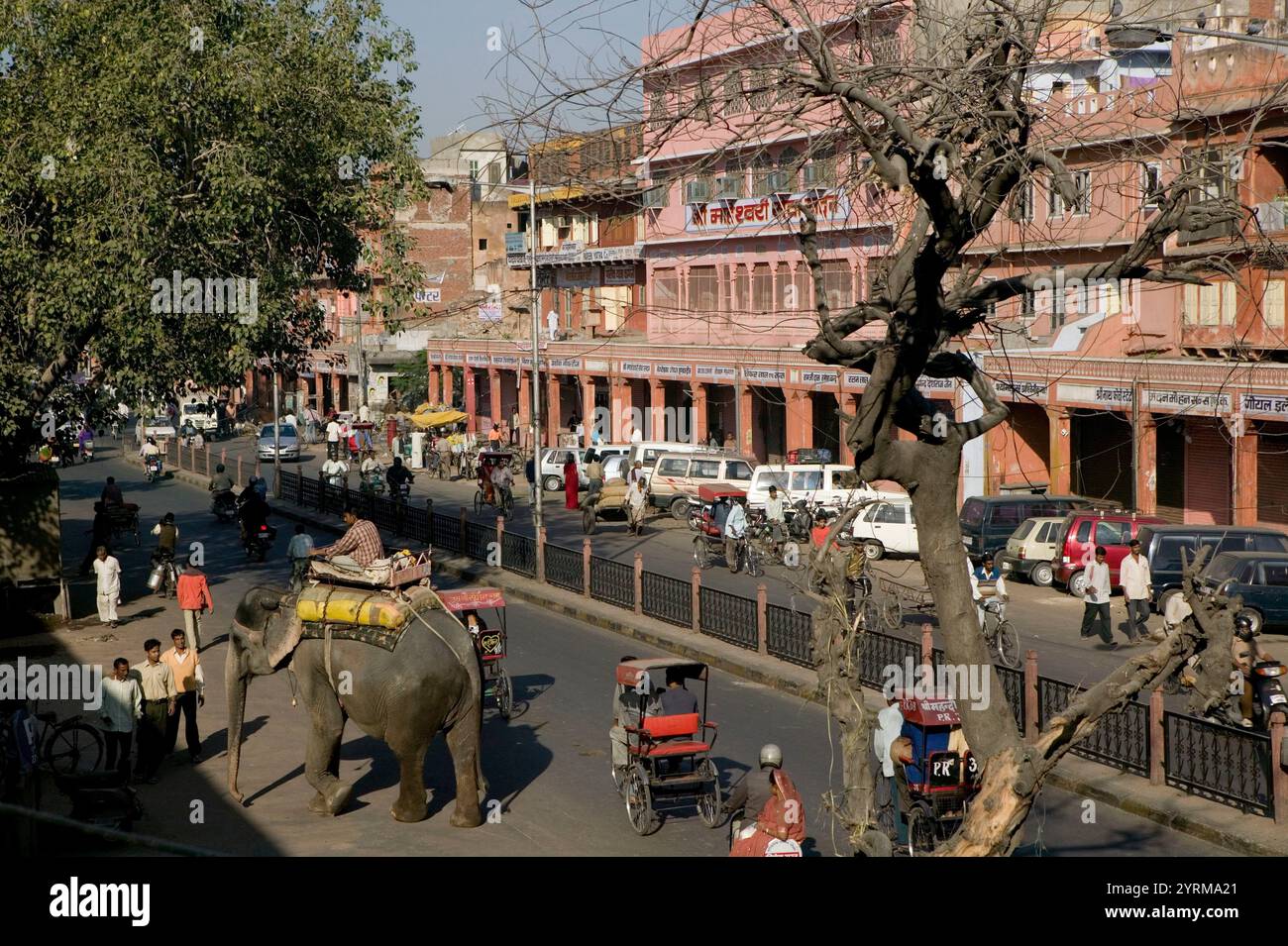 Elephant Taxi . Chandpol Bazaar. Old Jaipur. Jaipur. Rajasthan. India ...