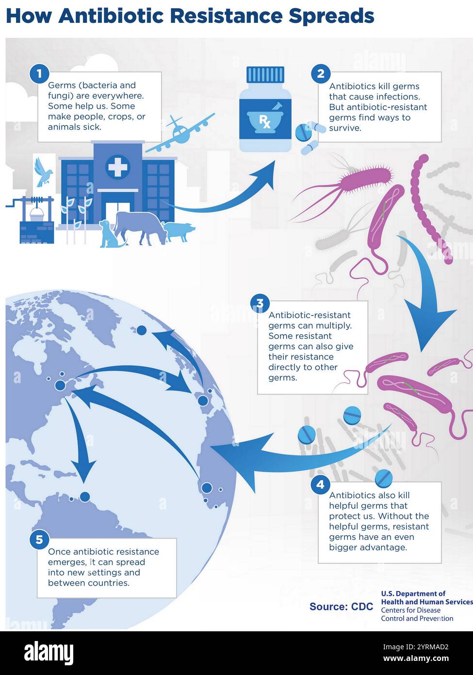 This is a medical illustration of multidrug-resistant, Pseudomonas ...