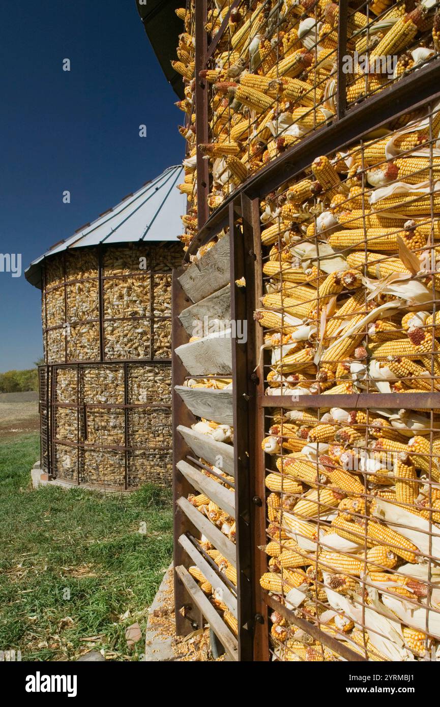 Iowa corn fields hi-res stock photography and images - Alamy