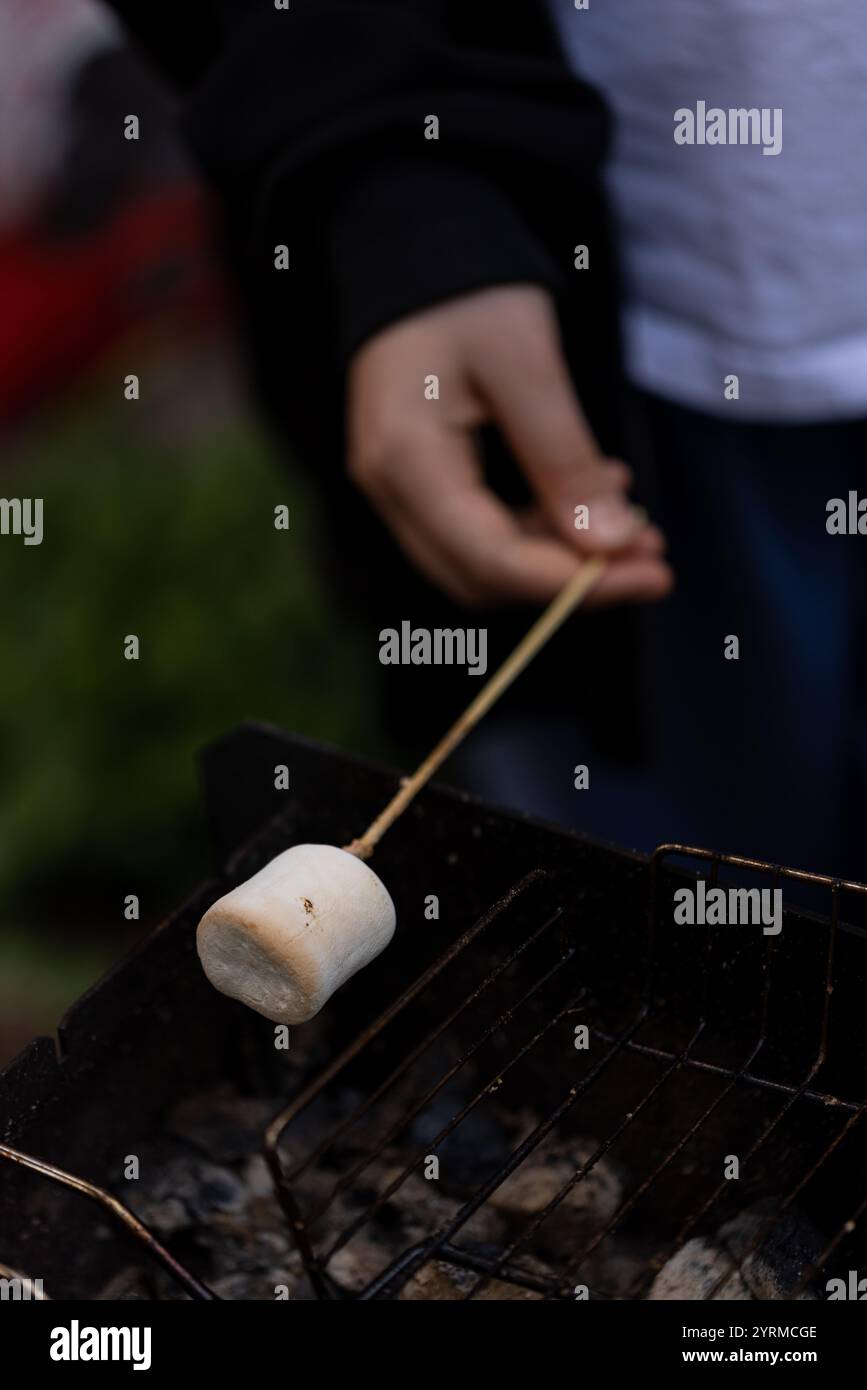 A child roasts a large marshmallow on coals Stock Photo - Alamy