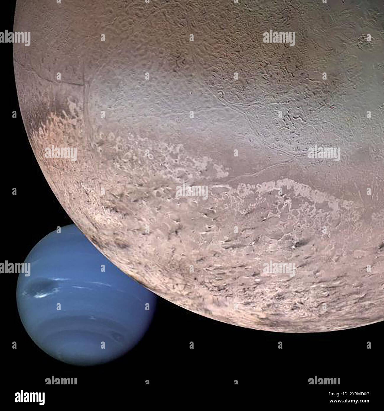 computer generated montage shows Neptune as it would appear from a spacecraft approaching Triton ...