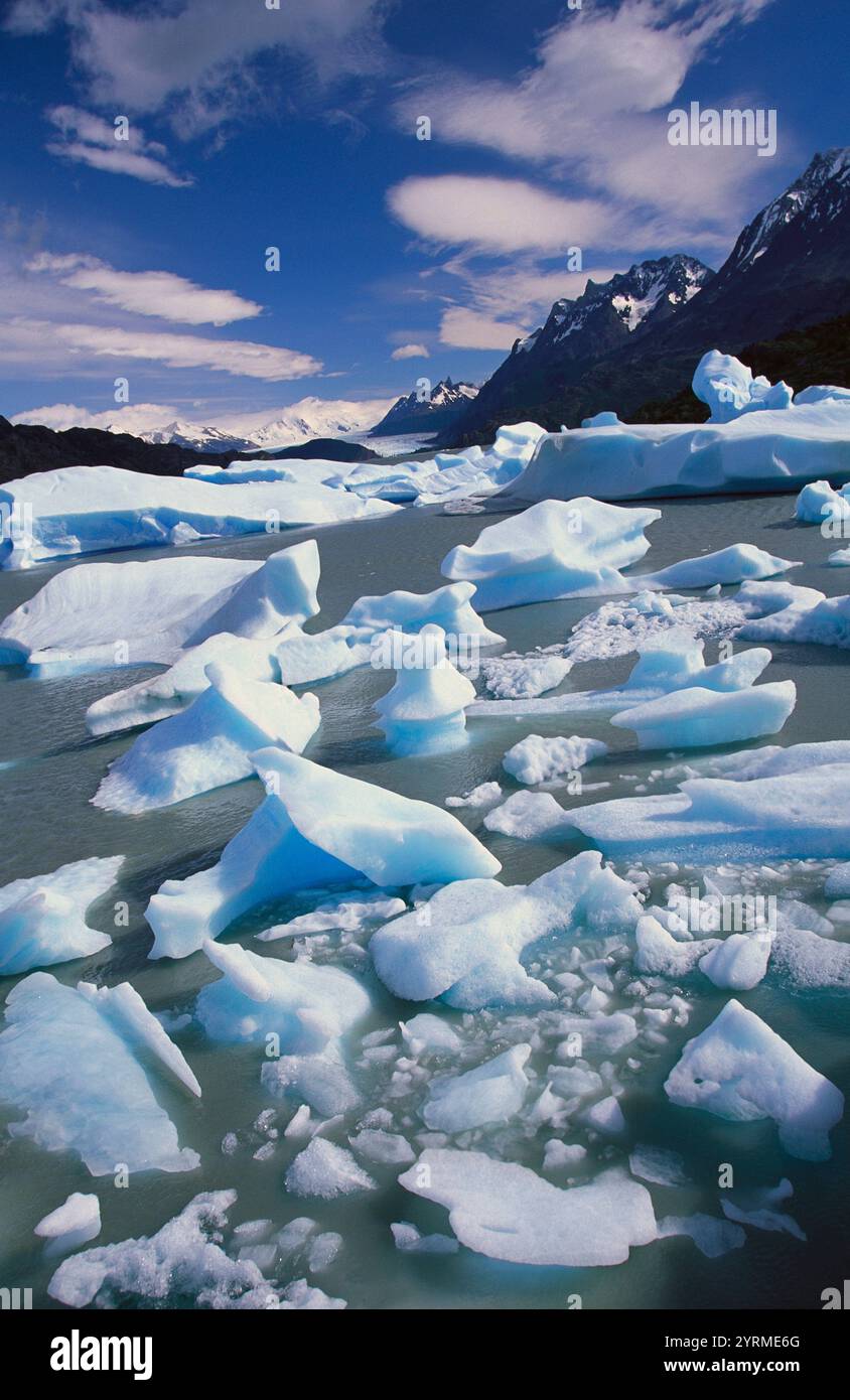 Glacial blue ice of Grey Glacier, Torres del Paine National Park. Chile ...
