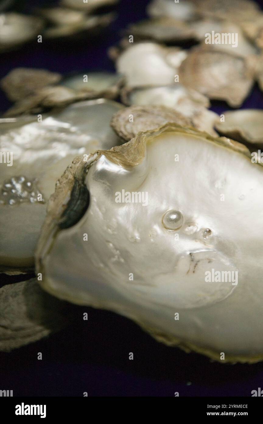 BAHRAIN-Manama: Bahrain National Museum- Pearl Detail / Bahrain is a ...