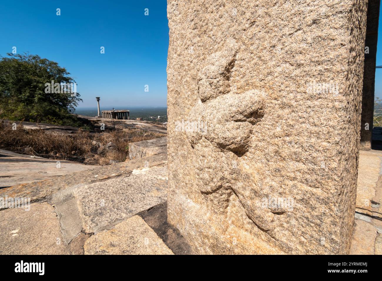 Close-up view of a textured stone pillar at the Jain pilgrimage site in ...