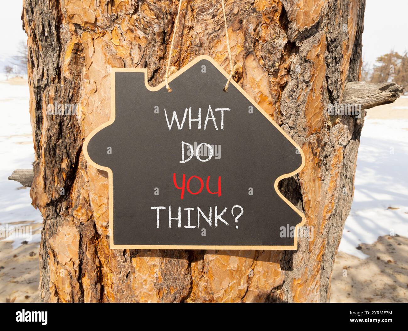 What do you think symbol. Concept words What do you think on beautiful ...