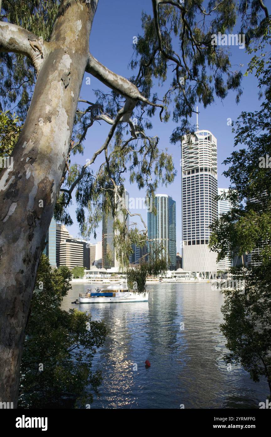 Australia - Queensland - Brisbane: Highrise buildings by Riverside ...