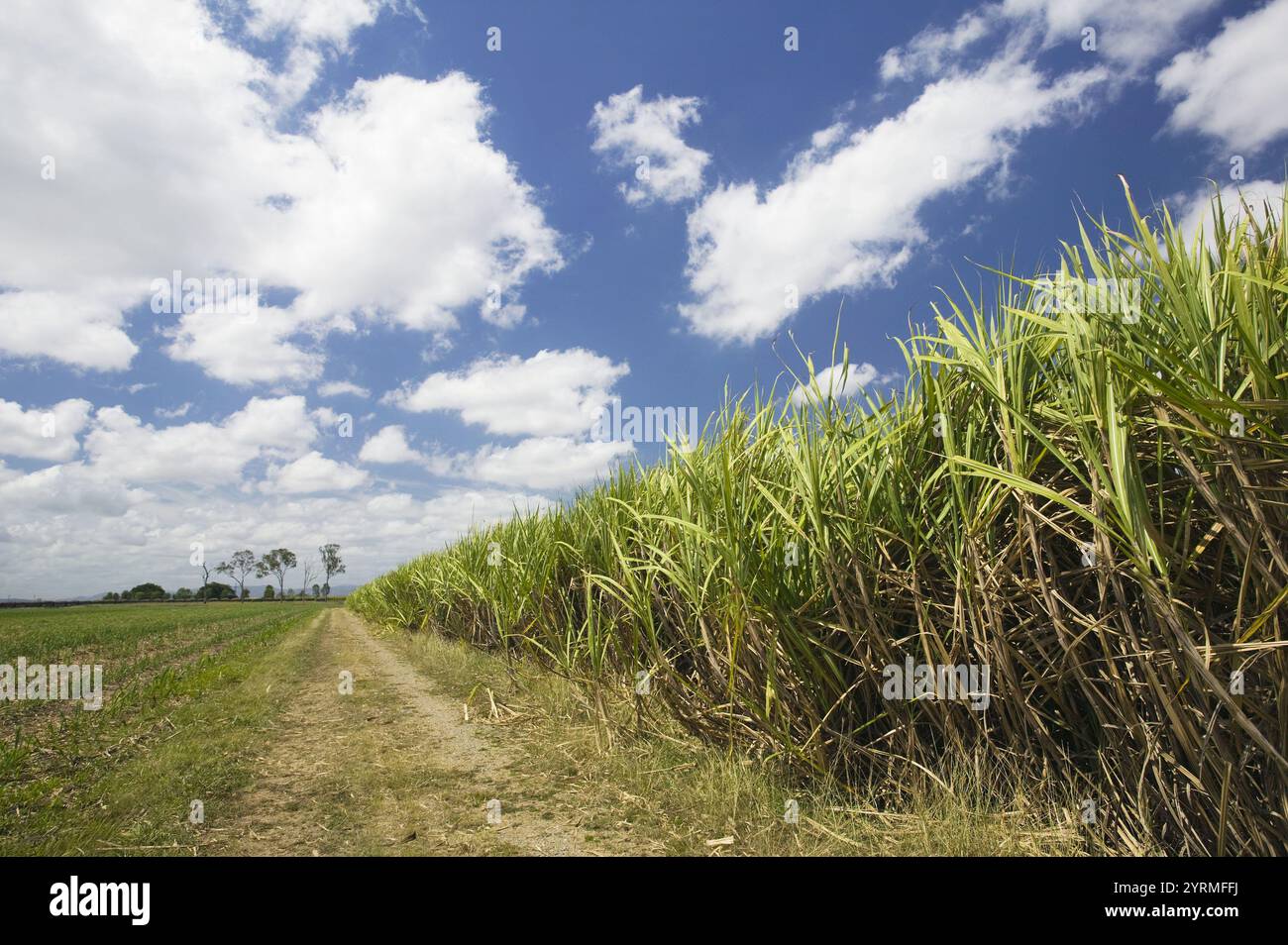 AUSTRALIA - Queensland - WHITSUNDAY COAST - Marian: Pioneer Valley ...