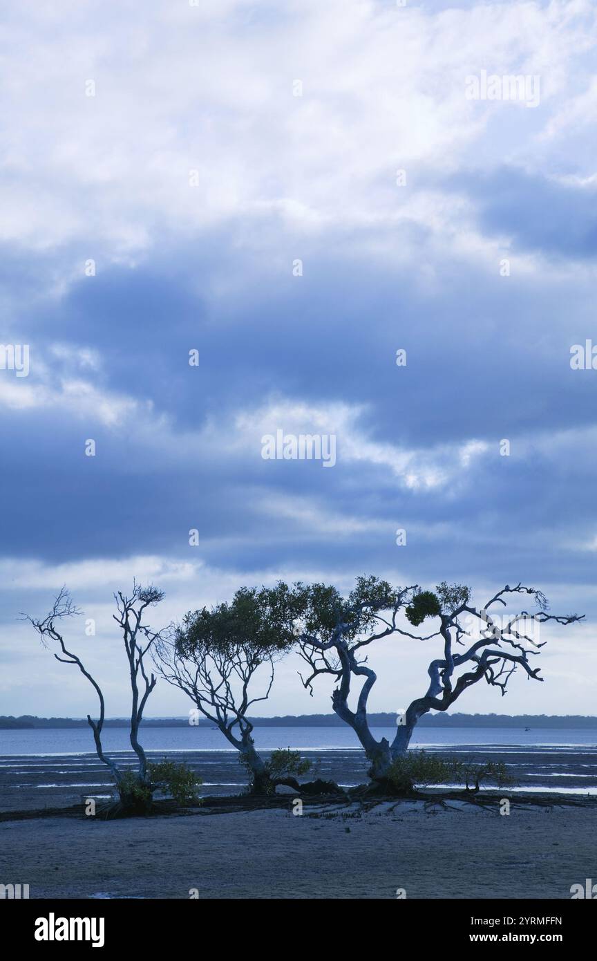 Inskip point beach hi-res stock photography and images - Alamy