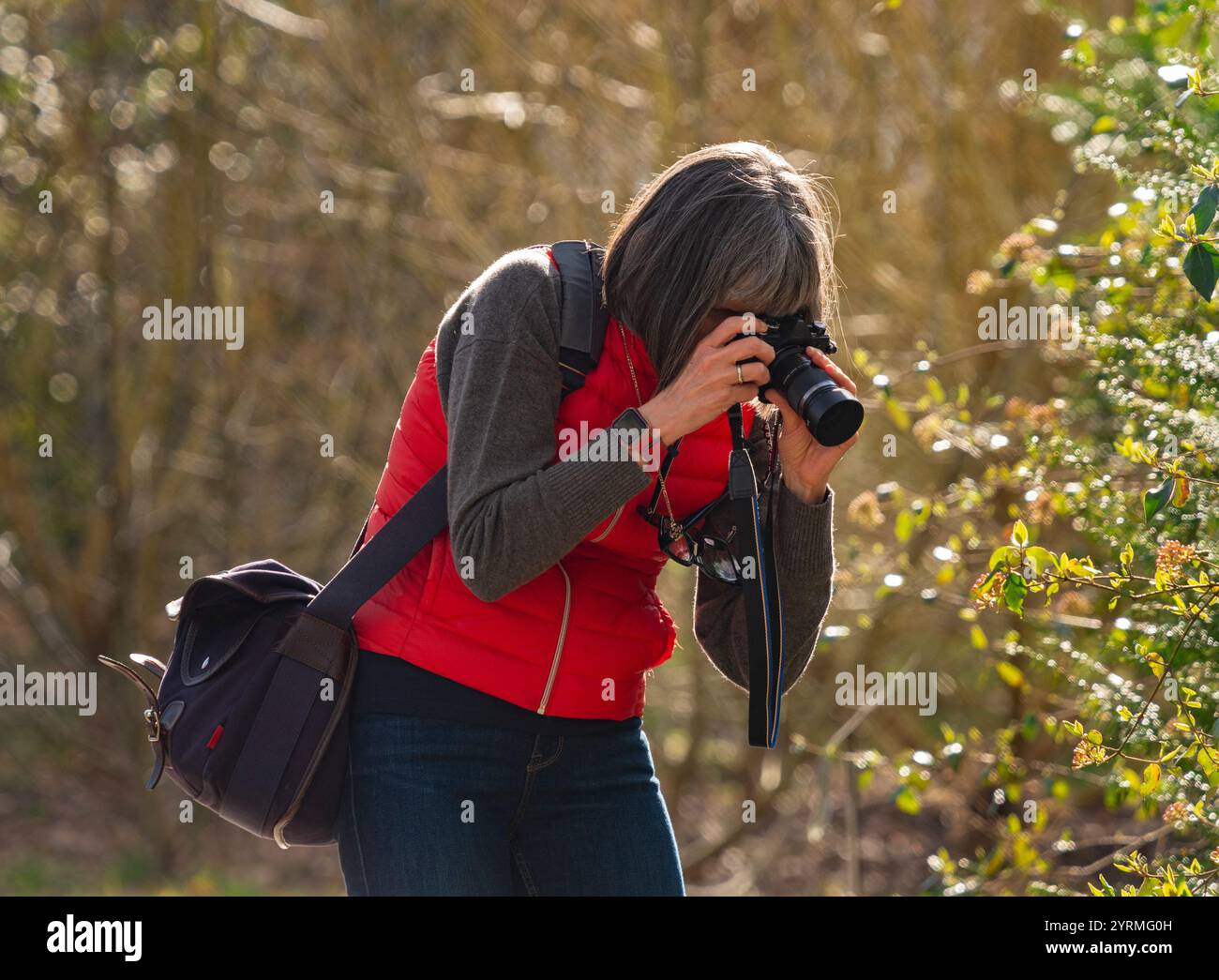 A Caucasian female photographer in a red gilet focuses on capturing the beauty of spring flowers ...