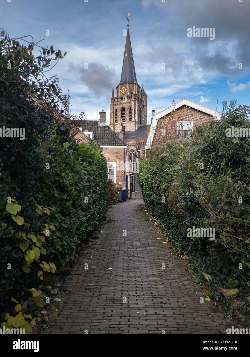 A narrow cobblestone path lined with dense green hedges leads to a ...